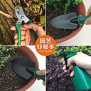 LSJTZ 10Pcs, Garden Branch Shears Set, Stainless Steel, Branch Shears, Moss Scraper, Rake, Shovel, Watering Can, Suitable for Garden, Bonsai, Fruit Tree