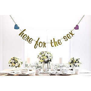 Here for the Sex Banner, Glitter Gender Reveal Bunting, He or She Decors, Boy or Girl Baby Shower Party Decorations, Gold