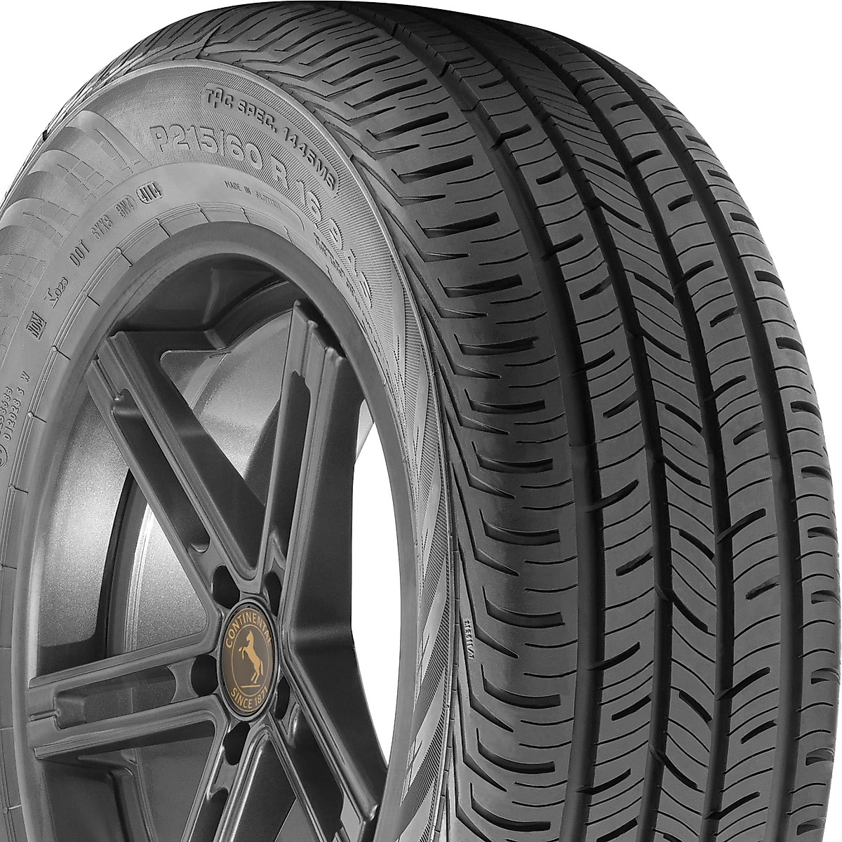 Continental ContiProContact Radial Tire - 175/55R15 77T