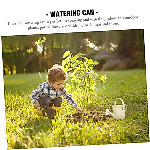 10 pcs Pour and Sprinkler Can Mini Spout Galvanized Plant Portable Yard Tin Pot Succulents Long Bucket Small for Cans Shabby Spray Kettle Display Metal Watering Sturdy