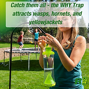 RESCUE! Non-Toxic Wasp, Hornet, Yellowjacket Trap (WHY Trap) Attractant Refill - 2 Week Refill - 9 Pack