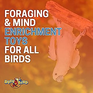 Busy Bird | Goodie Gadget Foraging Bird Toy - Spins on Axis with Peek-A-Boo Window - 100% Metal, Ultimate Brain Teaser and Mind Game for Medium to Extra Large Birds