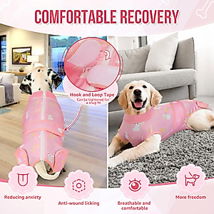 Lukovee Recovery Suit for Dogs, Zipper On Recovery Suit for Female Male Dog, Onesie Abdominal Wounds Cone E-Collar Alternative Prevent Licking Spay Recovery Suit (A-Pink,X-Small)
