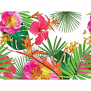 Tervis Tropical Hibiscus Photo Made in USA Double Walled Insulated Tumbler Travel Cup Keeps Drinks Cold & Hot, 24oz, Clear