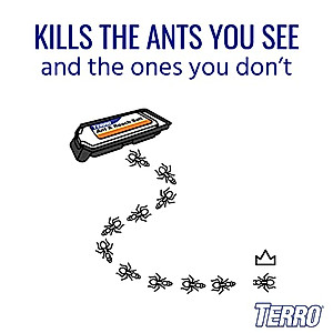 Terro T360 Ant and Roach Stations, 1 PACK Ant & Roach Baits, Black