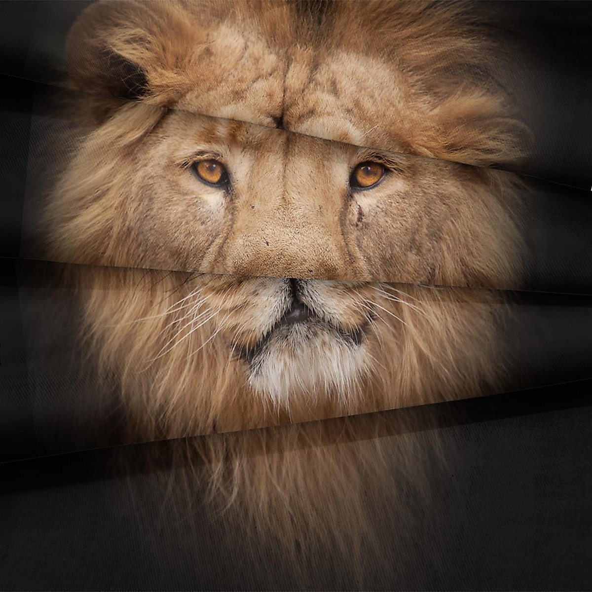 Bedorm Halloween Themed Bedding Sets Funny Pumpkin Comforter Set Cute Pumpkin Ghost Catoon Printed Boys Girls Halloween Bedroom Decor Queen Comforter Set