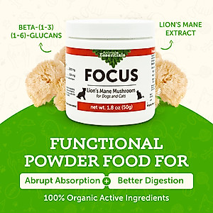 Animal Essentials Focus Lions Mane Mushroom Supplement for Dogs & Cats - Supports Brain Health, Cognitive Function, Healthy Immune Response, Mushroom Powder Extract - 1.8 Oz (Pack of 1)