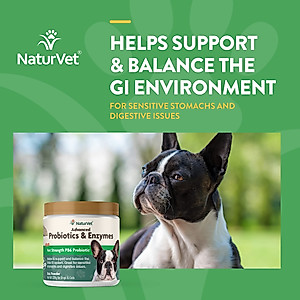 NaturVet – Advanced Probiotics & Enzymes|Supports and Balances Pets with Sensitive Stomachs & Digestive Issues 8 oz & No Scoot for Dogs - 120 Soft Chews - Supports Healthy Anal Gland & Bowel Function