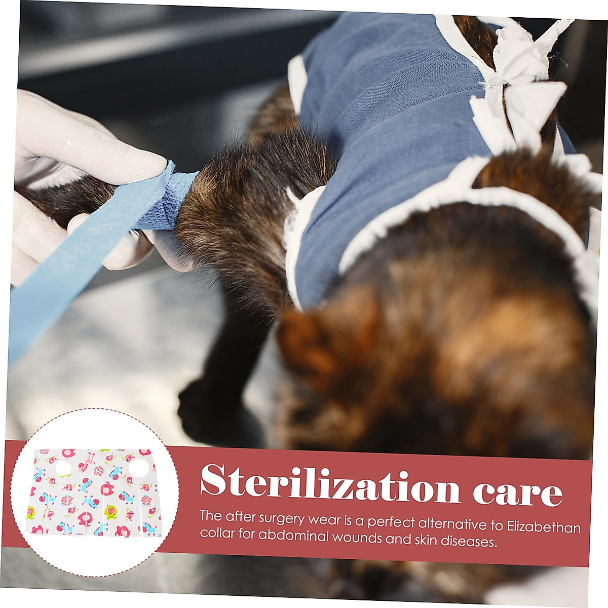 DOITOOL Puppy Collars Small Dog Clothes Dog Collars for Small Dogs Puppy Clothes Dog Collar for Puppies Small Cat Collar Puppies Collars Pet Clothes Recovery Suit Breathable Clothing