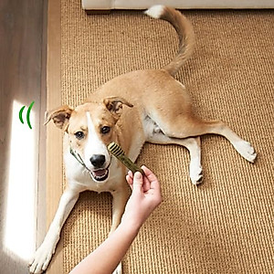 Greenies Puppy Petite Size Natural Dental Dog Treats, 6 oz. Pack (10 Treats)