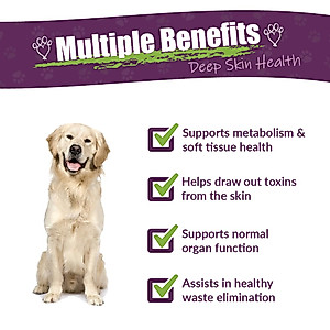 AMBER NATURALZ Tumoxil Deep Skin Health Herbal Supplement for Dogs and Puppies | Canine Herbal Supplement for Skin and Metabolism Support | 4 Fluid Ounce Glass Bottle | Manufactured in The USA