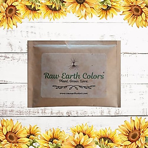 Sunflower Seeds for Planting to Plant Mammoth Sunflower Seeds Packet of About 100 Flower Seeds (Asteraceae Asterales Helianthus giganteus) !