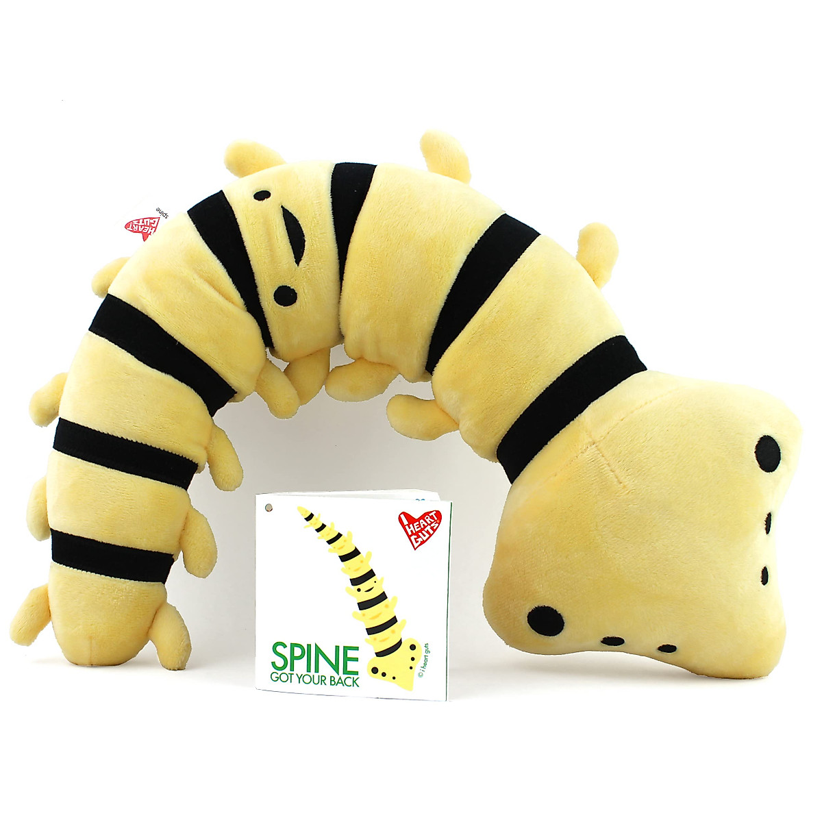 I Heart Guts Spine Plush - Got Your Back - Stuffed Flexible Backbone Vertebrae - Back Surgery Recovery Gifts, Spine Surgeon Gifts for Spinal Cord Injury, Scoliosis, Orthopedic Doctors, & Chiropractors