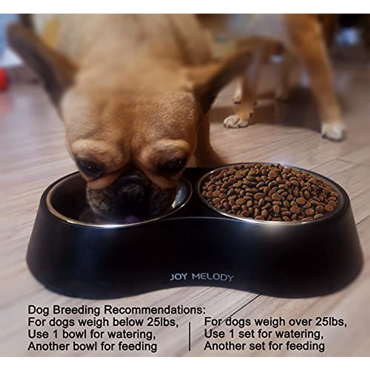 Joy Melody Cat Bowls with Stand for Food and Water, Anti-Slip Elevated Small Dog Dish, Anti-Flip Raised Pet Feeder, Dishwasher Safe with Microfiber Cloth