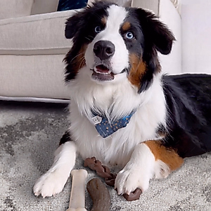 Tough Chew Dog Toys Variety 3 Pack Bully Stick Flavor Bacon Flavor Chicken Flavor