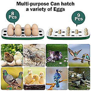 Egg Incubator for Hatching Chicks, 8 Eggs Poultry Hatcher, Cute Little Train Shape Egg Incubator, with Humidity Temperature Control, for Chickens Ducks Goose Quail Birds