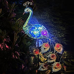 WUFEILY Peacock Solar Garden Lights, Hand-Painted Glass Solar Garden Decor, Decorative Garden Stakes Yard Art Decorations Outdoor, Lawn Stake Ornaments for Patio Pathway Yard