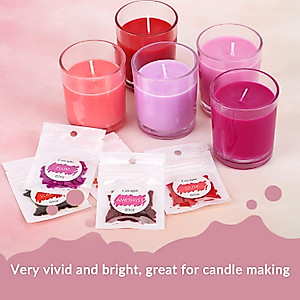 Color Candle Making Dye Kit, 24 Coloring Chips for Paraffin and Soy Wax Base Molds, Bright, Easy Melting and Mixing Colored Flakes, Non-Toxic DIY and Homemade Craft Supplies , 0.1oz Per Bag