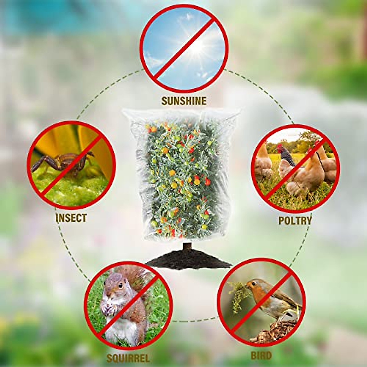 SATOCVAY Insect Bird Barrier Netting, 6 PCS Netting for Garden Protection with Drawstring, Plant and Fruit Tree Netting Barrier Bags, Durable Plant Cover for Plant, Fruit, Flower, Vegetable