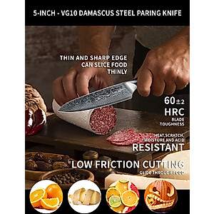 SANMUZUO 5 Inch Kitchen Utility Knife - Xuan Series - VG10 Damascus Steel Kitchen Knives - Resin Handle (Sapphire Blue)