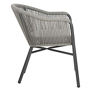 SAFAVIEH Outdoor Collection Nicolo Grey Rope Chair (Set of 2)
