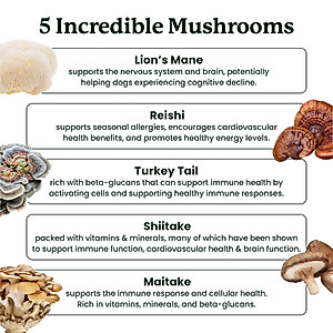Lolahemp Mushroom Supplement for Dogs - Tasty Chews with Organic Mushroom Complex for Immune System & Cognitive Health - Turkey Tail, Reishi, Shiitake, Maitake & Lion's Mane