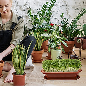 GANAZONO Plant Pots Flowerpot Bonsai Training Pots Rectangular Planter Pots Plant Growing Pots Plants Growing Planter with Drainage Tray Gardening Bonsai Container Hanging Planter