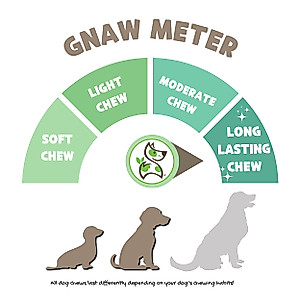 Nature Gnaws Braided Pork Bully Sticks for Dogs 5-6" (20 Count) - Long Lasting for Small and Medium Dogs - Natural Bacon Dog Chew Treats - Rawhide Free