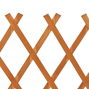 Garden Trellis Fence,Garden Fence Border,Portable Fence,Privacy Fence,Fencing for Yard,Private Fence,Garden Fence for Dogs,for Patio,Backyard,Outdoor Pool,Porch,Orange 47.2"x35.4" Solid Firwood