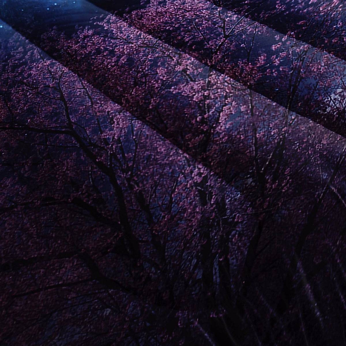 XYNHML Wolf Comforter Set Galaxy Night Moon Bedding Set 3Pcs Howling Wolf Down Lunar Eclipse Bed Set for Kids Teens Room Decor Wild Animals Comforter with 2 Pillowcases