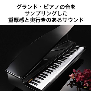Korg microPiano 61 - Key Minature Grand Piano, Black