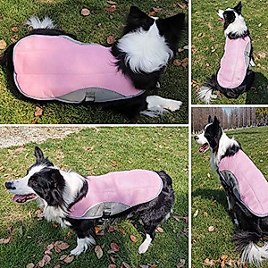 Dog Cool Vest Instant Cooling Clothes Summer Pet Breathable Mesh Instant Cooling Absorb Water and Evaporate Quickly Dogs Cool Jacket with Reflective Strip for Puppy Small Medium and Large Breed Dogs