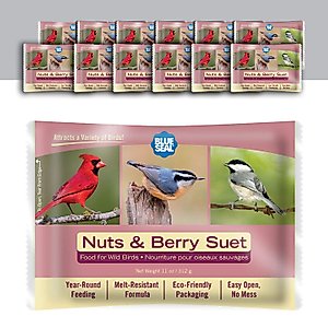 Blue Seal Nuts & Berry Suet Cake | No Mess Wild Bird Suet | 11 oz (12 Pack)