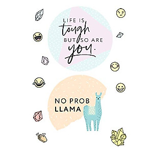 2021 Amy Knapp's The Very Busy Planner: 17-Month Weekly Organizer for Women (Includes Stickers, Student Planner, Family Planner, Thru December 2021)