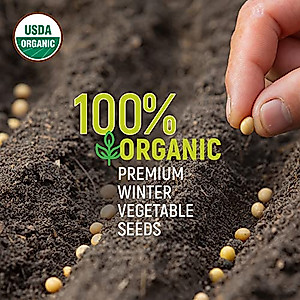 Organic Winter Vegetable Seeds Heirloom Seeds for Planting, Green Beans, Beets, Broccoli, Carrot, Cauliflower, Kale, Peas, Radish - Môpet Marketplace