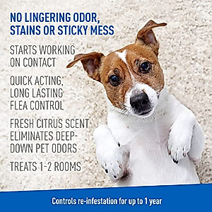 Adams Carpet Powder With Linalool and Nylar, Kills Fleas and Ticks On Contact, Kills All Stages of the Flea Life Cycle, 30 Day Protection, Freshens and Deodorizes, Treats Up to 400 Sq Ft, 1LB