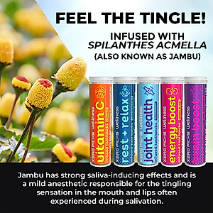 Xero Picks Wellness - Flavored Toothpicks -100 Picks-Variety 5 Pack-Curcumin, Glucosamine, Huperzine, Bacopa, B12, Elderberry, Vitamin C, Zinc, B6, Melatonin, Theanine