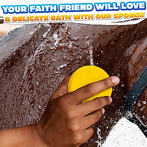 Pottery Sponges for Clay - 12 Pcs Tack Sponges for Cleaning Leather Art Sponges for Acrylic Painting Small Sponges Round Sponge Craft Sponges for Painting - Paint Sponges Pottery Sponge for Painting