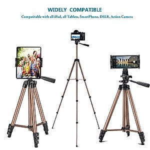 IPad Tripod Stand Universal Tablet Phone Mount Holder 51in Lightweight with Bluetooth Remote for iPad Pro 12.9 11 10.5,iPad Air Mini,Surface Tab,Galaxy Tab and 3.5 to 13.5in iPhone Tablet - Champagne
