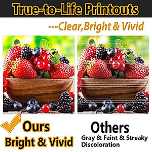 Etechwork Compatible Toner Cartridge Replacement for Brother TN336 TN331 TN-336Y TN-331Y Toners use with Brother HL-L8250CDN HL-L8350CDW HL-L8350CDWT MFC-L8850CDW MFC-L8600CDW Printer (Yellow)