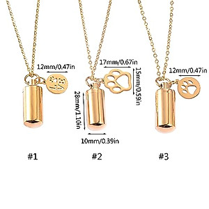 Stainless Steel Pet Urns Holder Necklace For Dogs Cats Pet Memorial NecklaceKeepsake Loss Pet Memory Urn Holder Jewelry Memorial Jewelry For Pets Ashes Container Pendant For Pets Pet Memorial Necklace