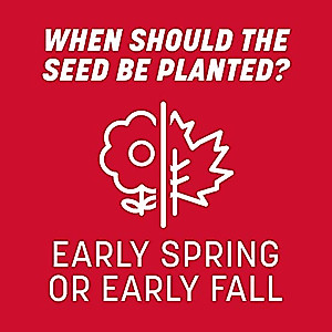 Pennington The Rebels Tall Fescue Grass Seed Mix 7 lb