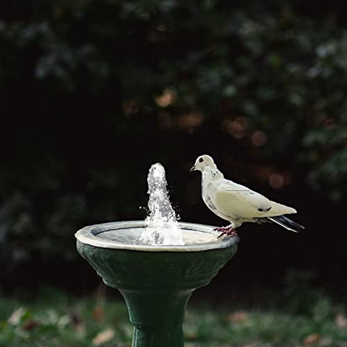 Brass Bubbling Fountain Nozzle, G1/2 Female Thread G3/4 Male Thread Spray Head Pond Sprinkler for Garden Pond Amusement Parks Library