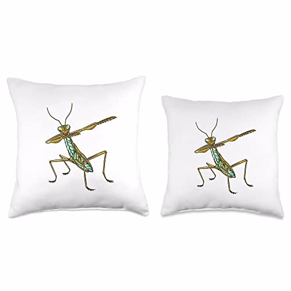 DK1 Designs Cool & Funny Mantis Insects Motives Prayer Motif Insect Throw Pillow, 16x16, Multicolor