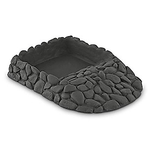 imagitarium Reptile Ramp Bowl, 13" L X 9" W X 2.5" H