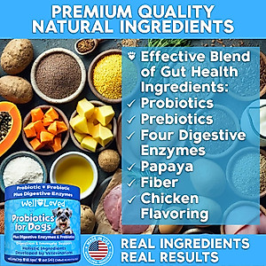 Well Loved Probiotics for Dogs, Dog Probiotics and Digestive Enzymes, Made in USA, Vet Developed, Dog Probiotic Chews with Prebiotics, Diarrhea Treatment, for Itchy Skin, Gut Health & Gas Relief