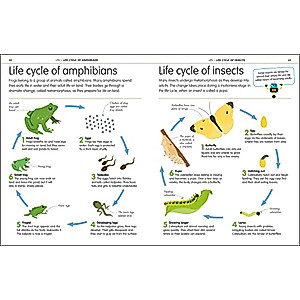 How to Be Good at Science, Technology, and Engineering (DK How to Be Good at)