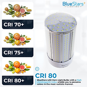BlueStars Super Bright 60W E26 LED Corn Light Bulbs E26 Medium Base 4200 Lumens (550W Equivalent) Cool White 5000K, for Homes, Outdoors, Commercial, Warehouses, Garage & Backyard Lighting