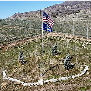 Service First Heavy Duty Delta Sectional Flag Pole Complete Kit (20 Foot, Silver)