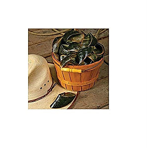 Ranch Rewards CHEW Hooves Bulk Packs for Dogs USA Made Natural Healthy Dental Dog Hoof Treats(50 Hooves Natural)